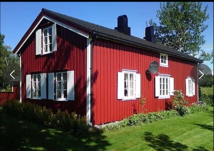 Sjøstranda - Bindal