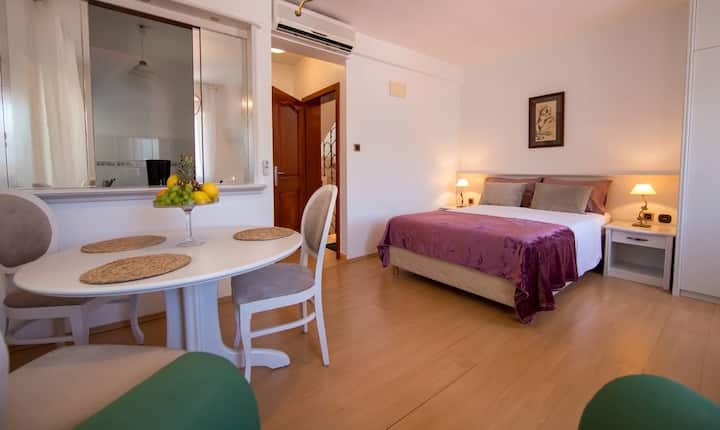 One Bedroom Apt. With Sea View - Ston