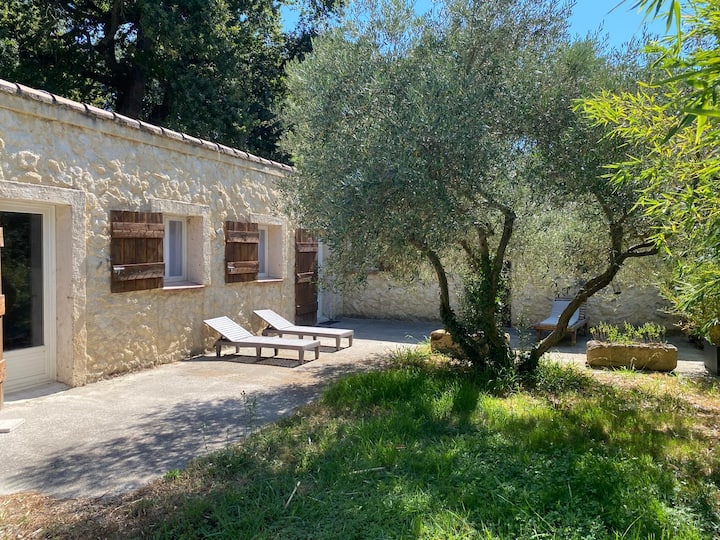 Mazet 2 Chambres ÎLe De La Barthelasse Avignon - Avignon