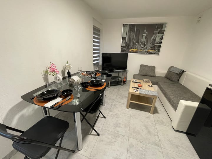 Agréable Et Spacieux Appartement - La Wantzenau