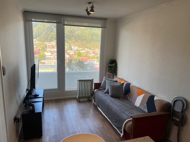 Acogedor Departamento - Concepción