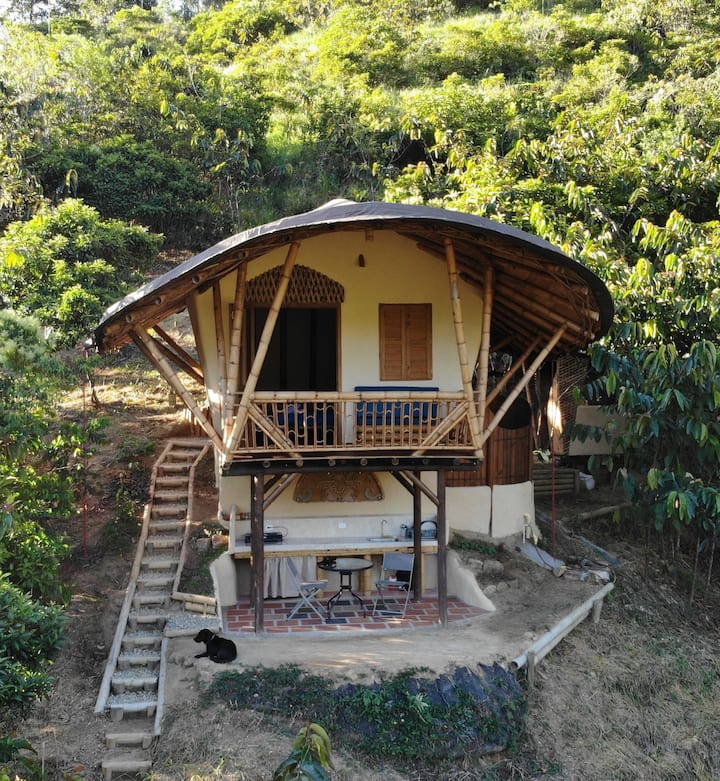 Macuá
Refugio Del Bosque - San Carlos, Colombia