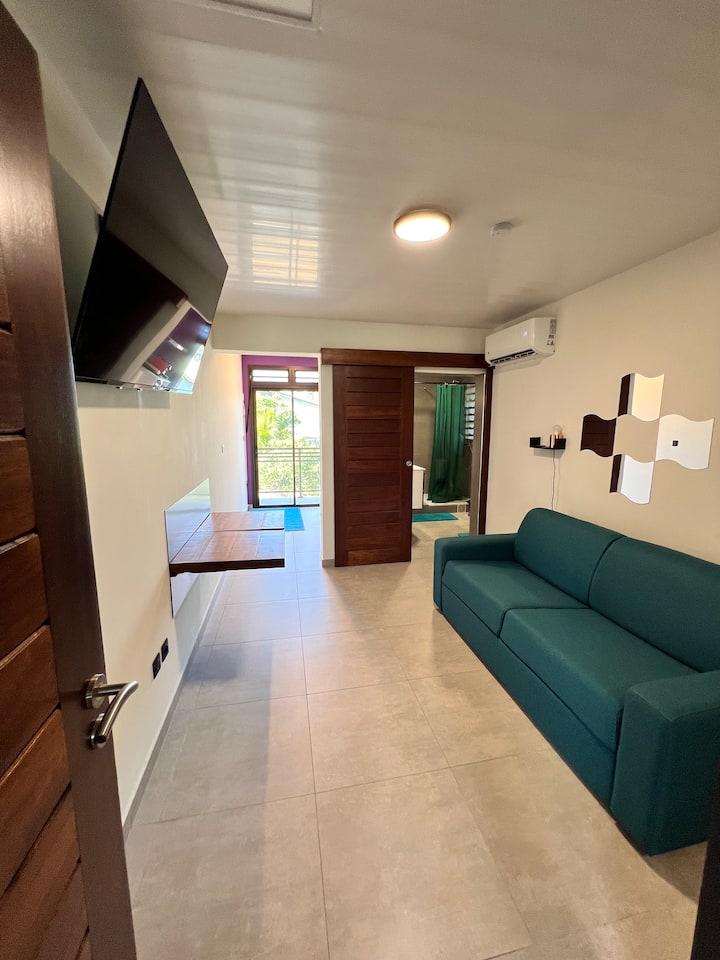 Studio C Meublé+balcon+parking - French Guiana