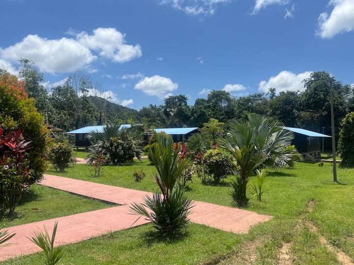 Gîte Des Flamboyants Orion Pk 14 - Guyane française