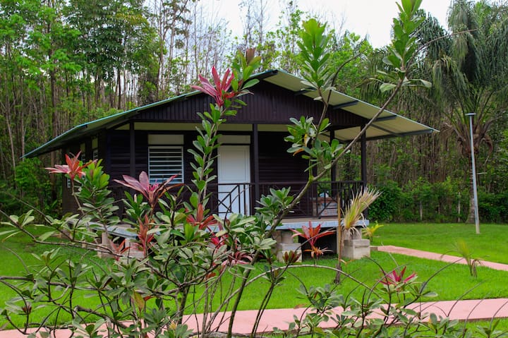 Gîte Des Flamboyants Luna Pk 14 - Guyane française