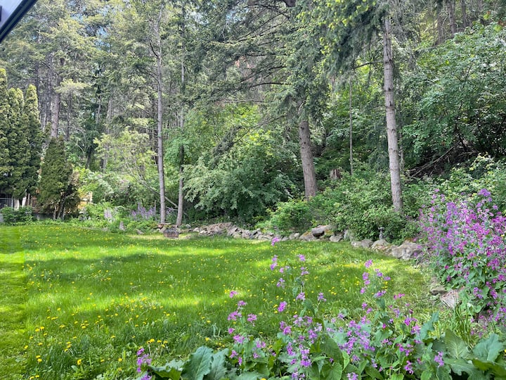 Forest Oasis In Wine Country - Kelowna