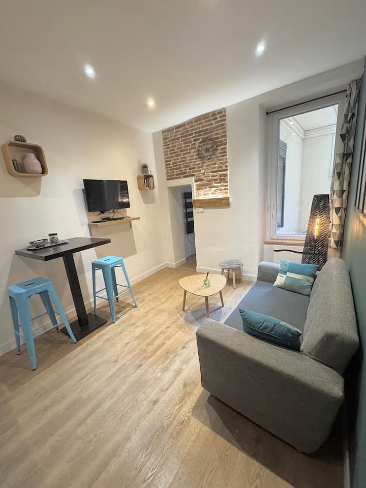 Charmant T1 Bis à 2 Pas Du Capitole - Toulouse