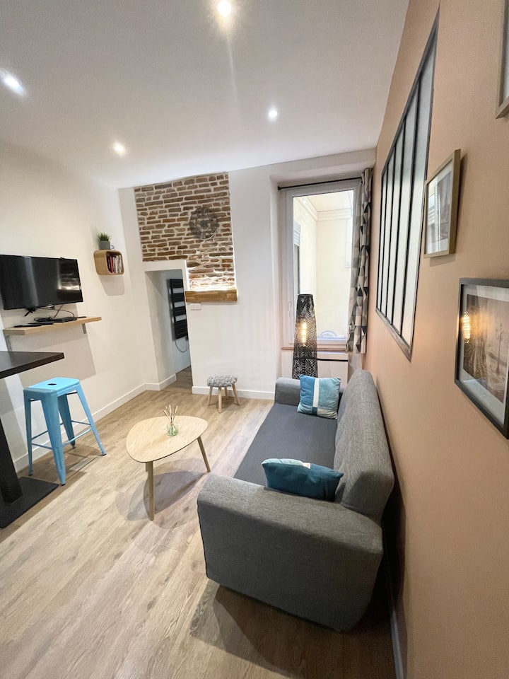 Charmant T1 Bis à 2 Pas Du Capitole - Le Zénith Toulouse Métropole