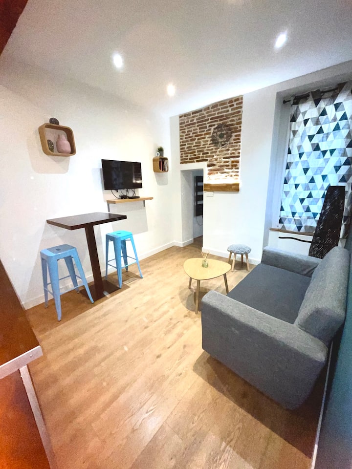 T2 Rénové-plein Centre Ville à 2 Pas Du Capitole - Toulouse