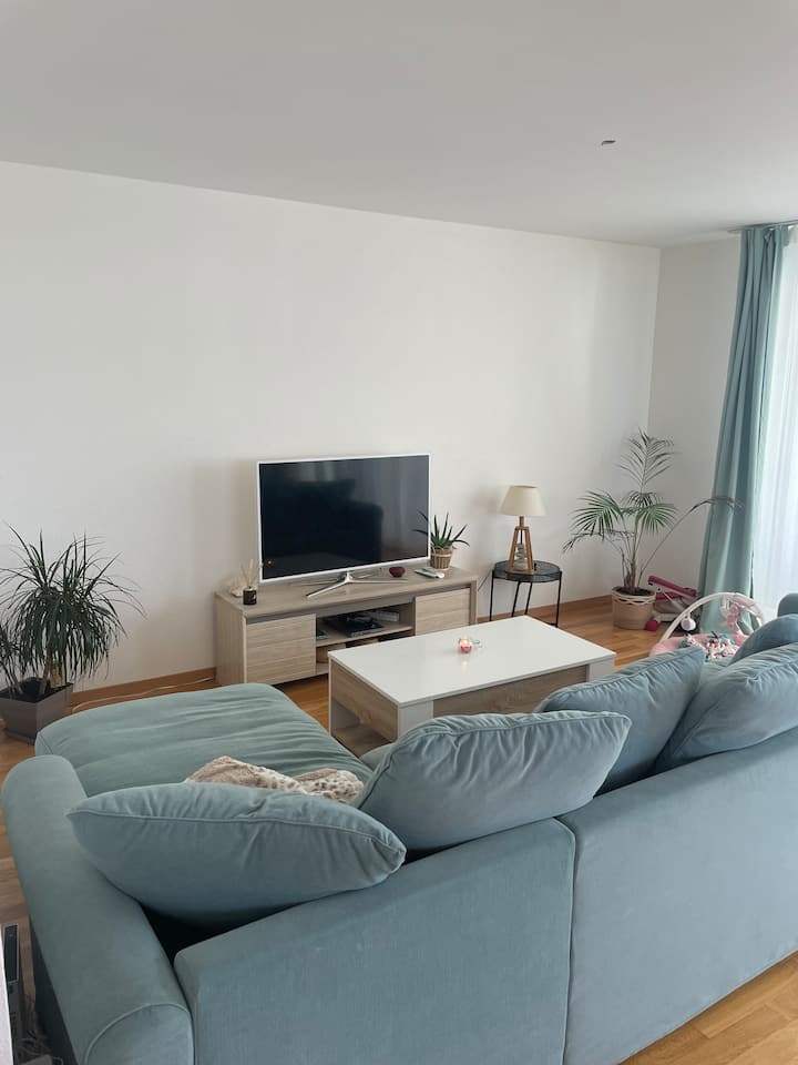 Magnifique Duplex Vue Sur Le Lac - Bussigny