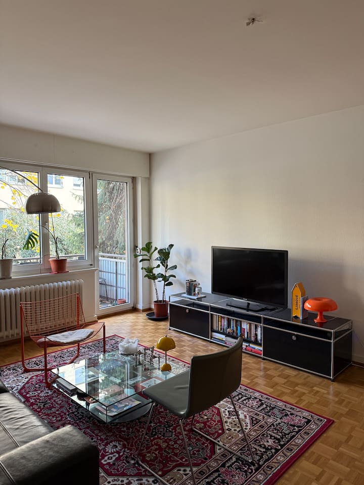 Große Wohnung Im Zentrum Von Zürich (Kreis 3). - Zurich