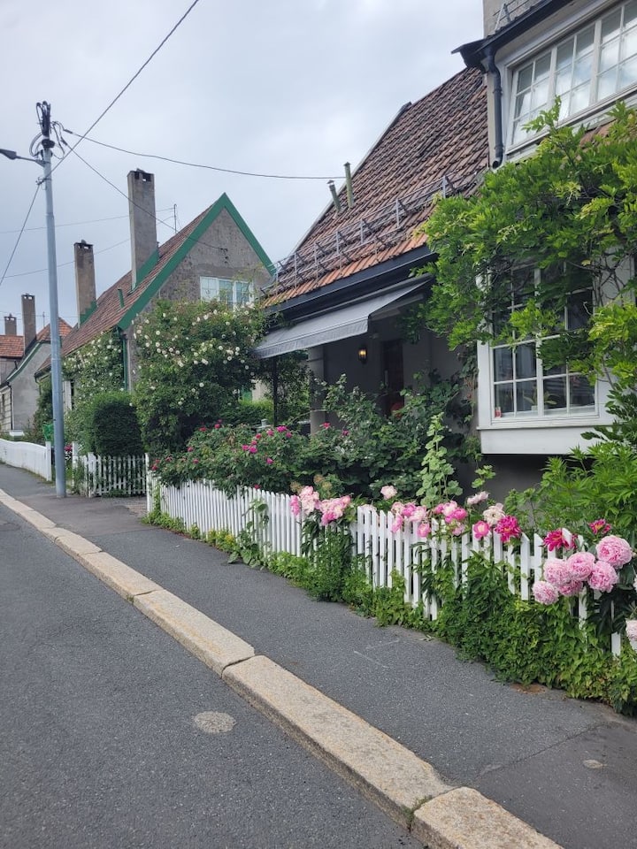 Sentrumsnært Hus I Arctanderbyen - Oslo