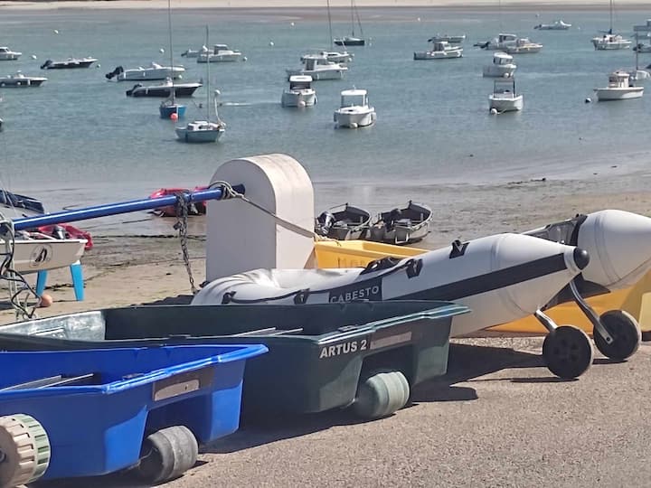 Appartement à 50m De La Plage - Plestin-les-Grèves