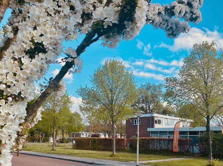 B&b De Bank Van Nagele - Urk
