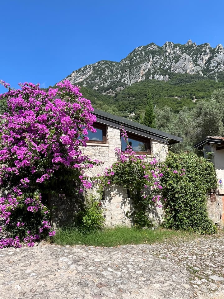 Lemon Bliss Retreat, Calma E Relax In Ex Limonaia - Gargnano