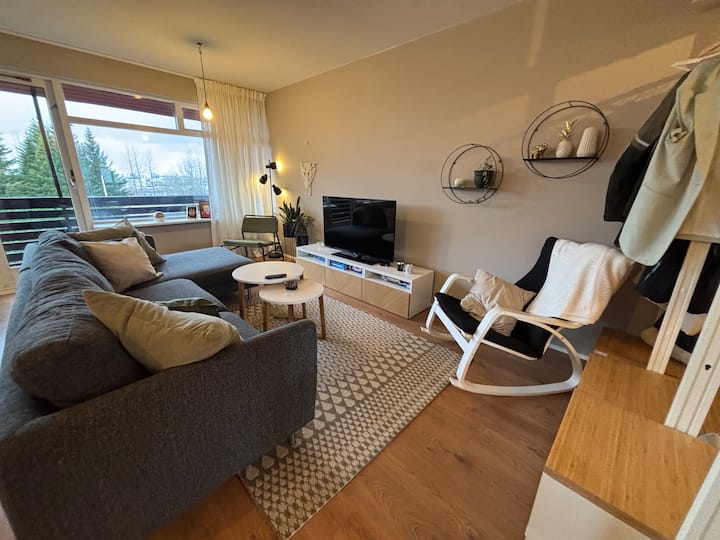 Cozy And Family Friendly Flat In Reykjavík - Iceland