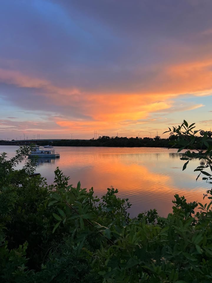 My Favorite View By Melly #1 - Riverview, FL