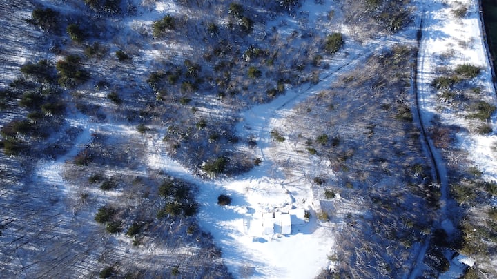 Forest Retreat | Winter Sanctuary In The Woods - Port Perry