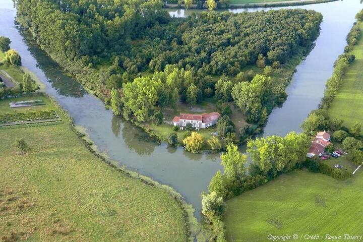 îLe De La Carpe, Marais Poitevin - Marans