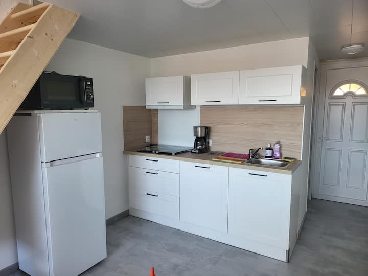 Marina Entre Mer Et éTang Avec Vue Sur Le Canigou - Le Barcarès