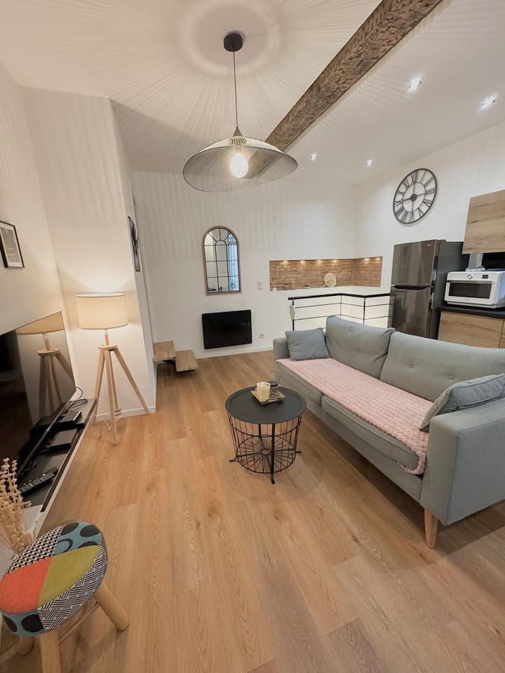 Calme Absolu Climatisé Au Cœur De La Ville Rose - Toulouse