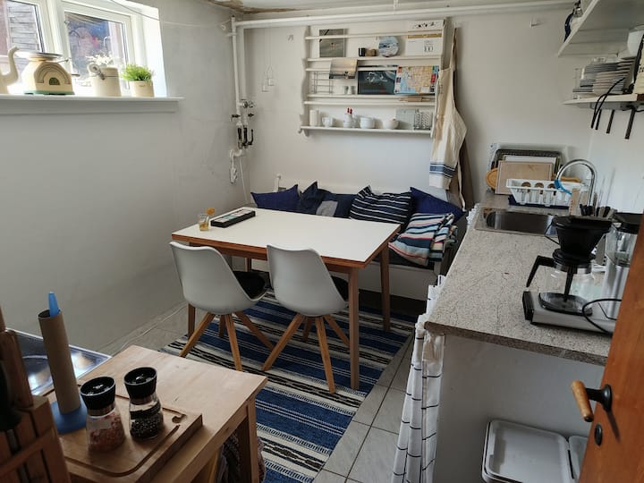 Blåt Værelse I Kælderlejlighed Nær Centrum - Skagen
