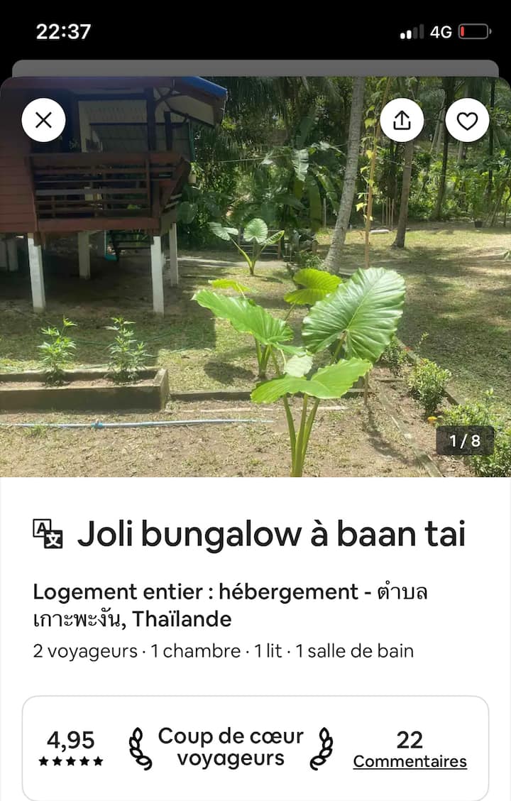 Lovely Bungalow In The Jungle - Ko Pha Ngan