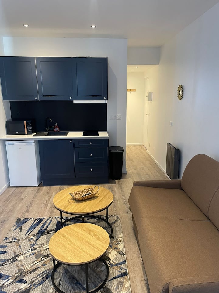 Studio Cosy Hyper Centre - Évian-les-Bains