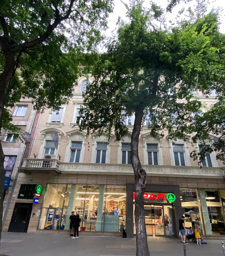Pink Rose Apartment D - Budapest