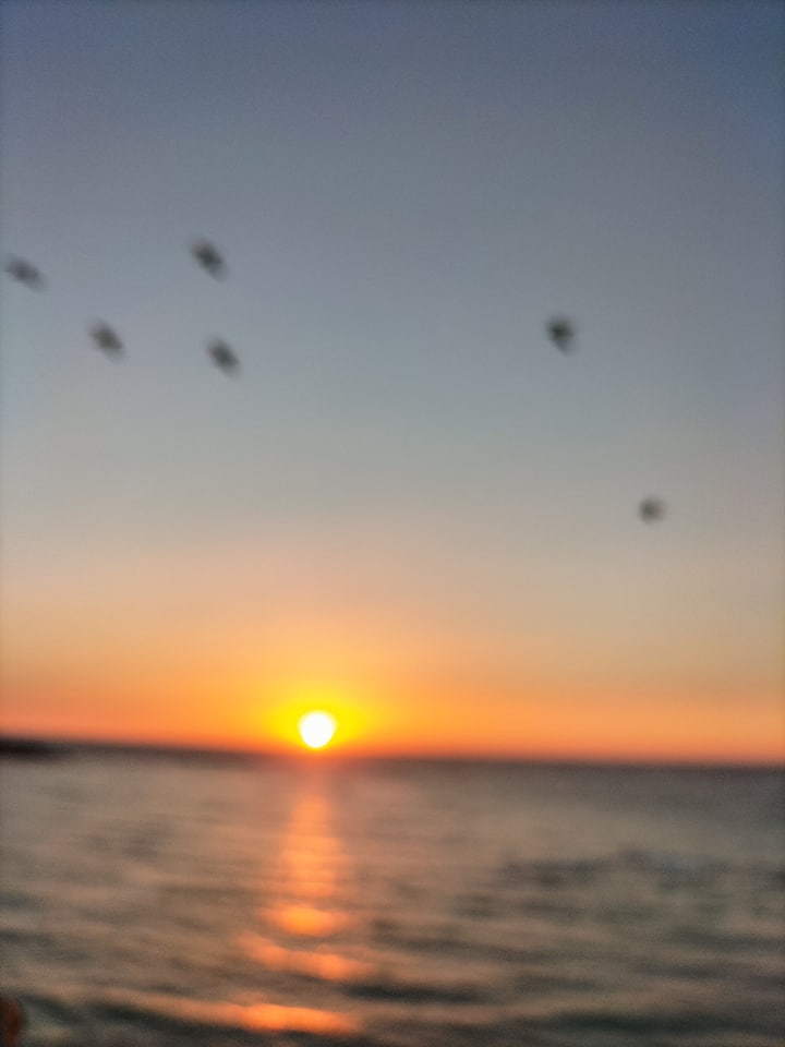 Authentique, Plaisant - Mostaganem