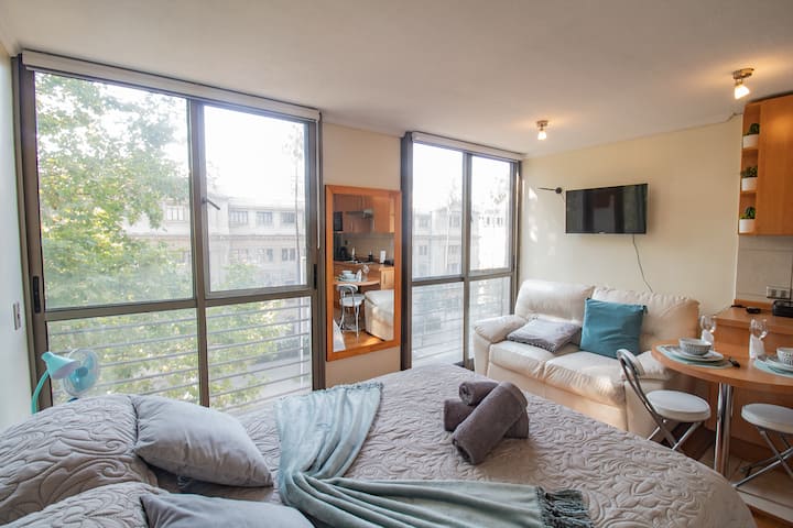 Departamento En Barrio Lastarria - Santiago