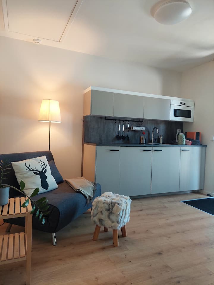 Wohnung Mit Bergpanorama In Der Jungfrauregion - Interlaken