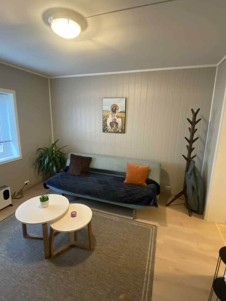 Sentralt Leilighet - オーレスン