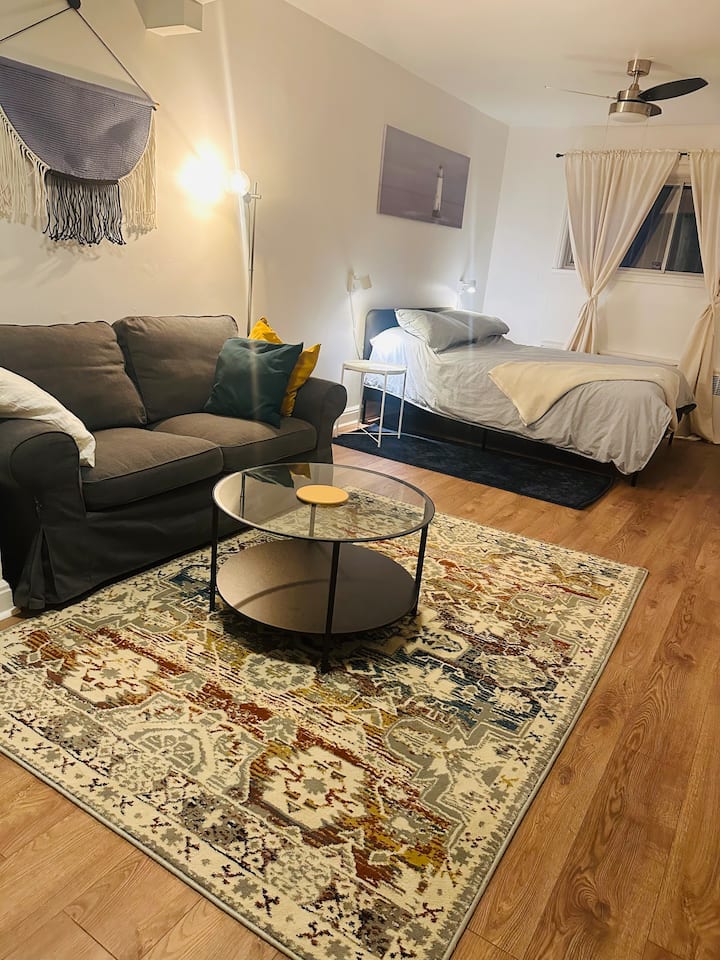 Grande Chambre Double Et Salon - Montreal