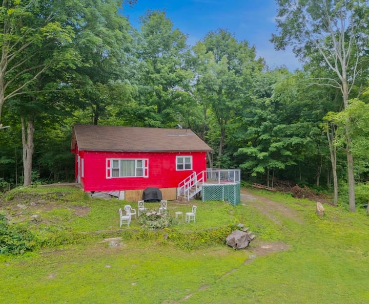 Kawartha Lakes Oak Cottage - Kawartha Lakes
