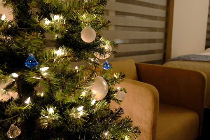 3-story Capitol Hill Townhouse With Rooftop - Seattle, WA