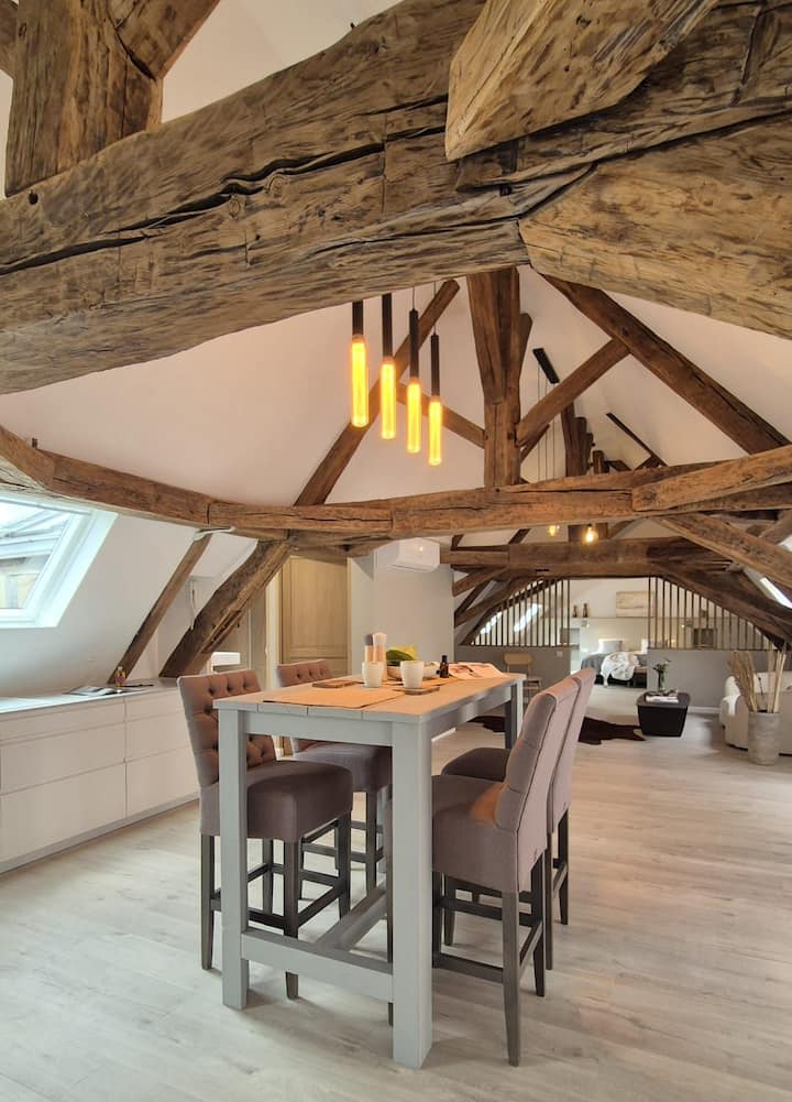 Appartement Luxe Centre Autun Restaurants à Pied - Autun