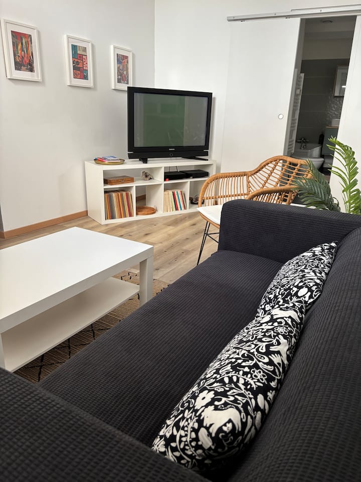 Appartement T3 En Hyper Centre - Narbonne