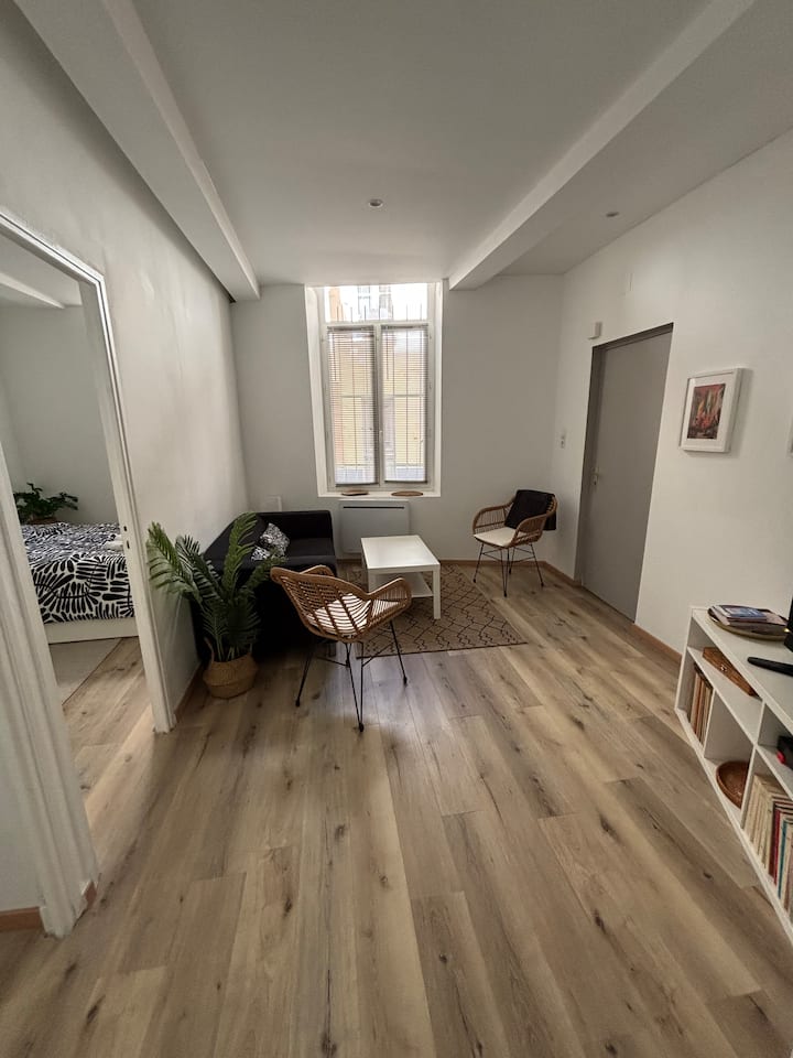 Appartement T3 En Hyper Centre - Narbonne