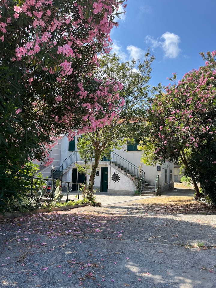 Appartamento Con Giardino E Posto Auto - Celle Ligure