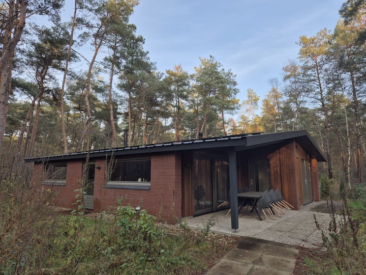 Luxe Bosbungalow Met Sauna - Ommen