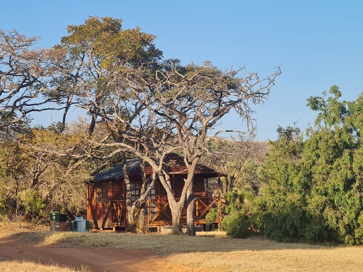Cosy Camping Hut 9 - Maanhaarrand