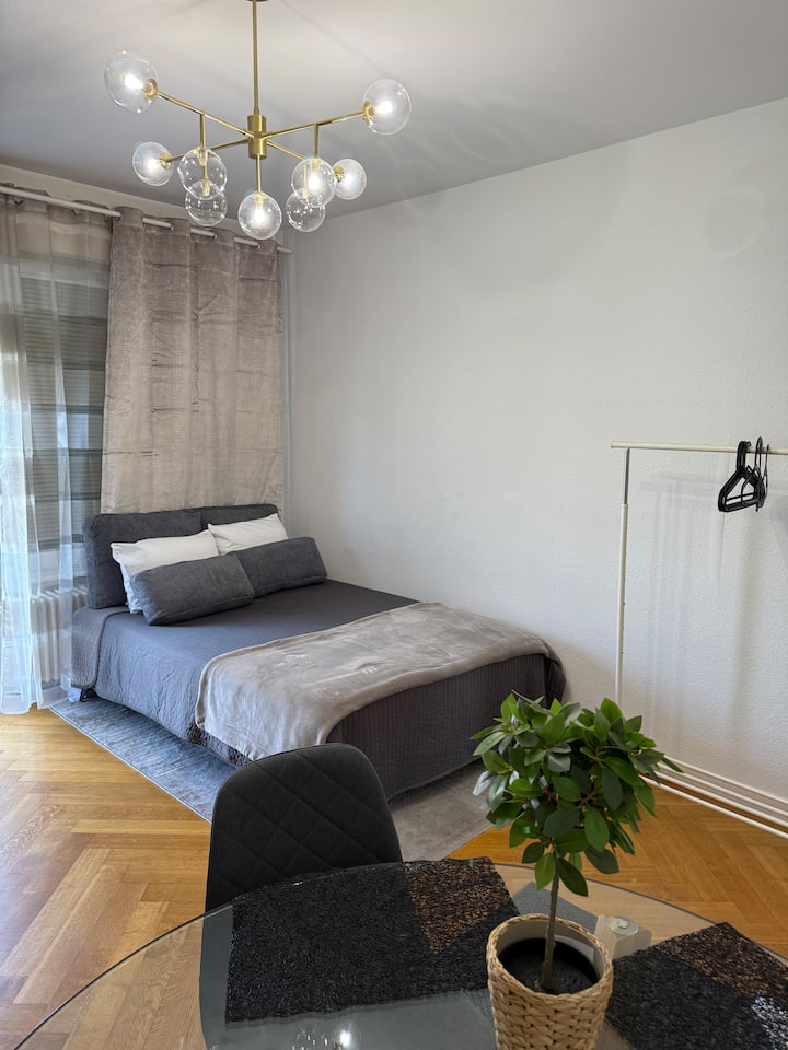 Well-located Comfortable Complet - Geneva