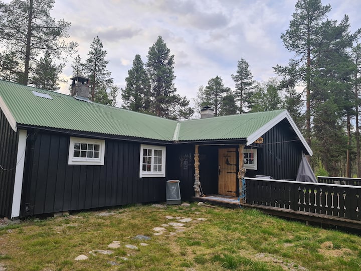 Koselig Hytte I åPen Skogterreng - Rendalen