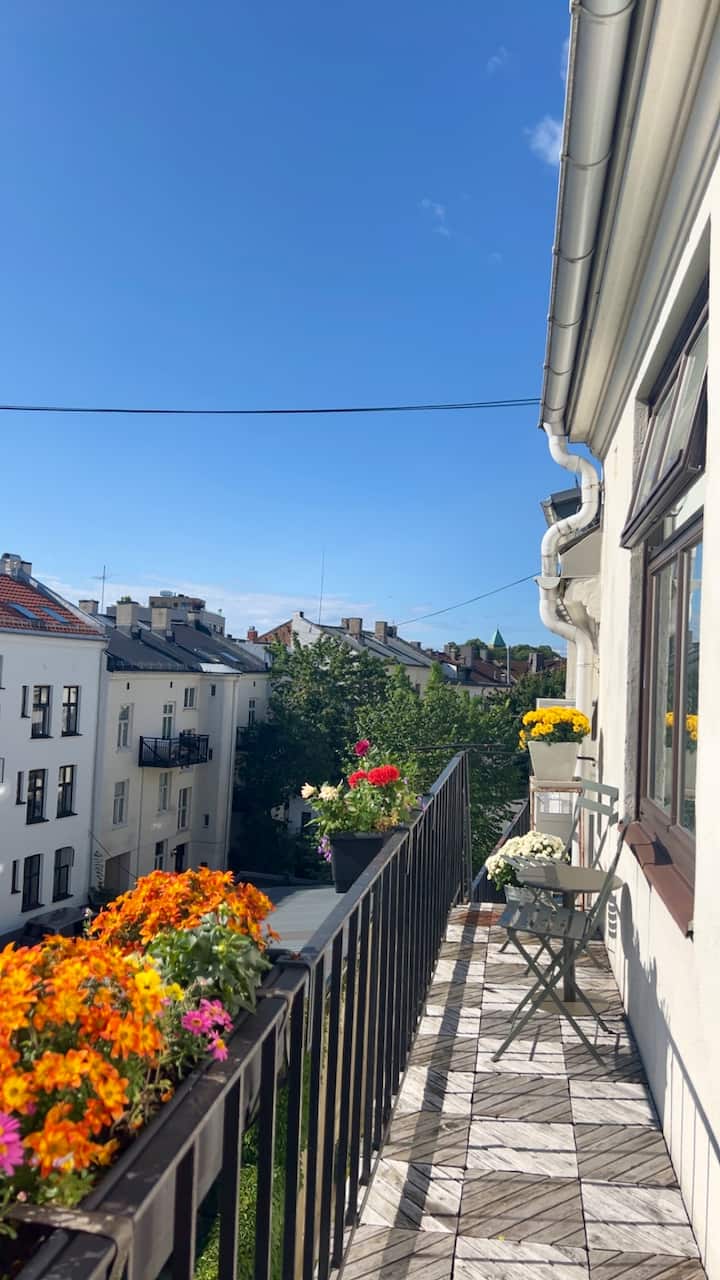 Flott, Luftig 3-roms Sentralt I Oslo - Oslo