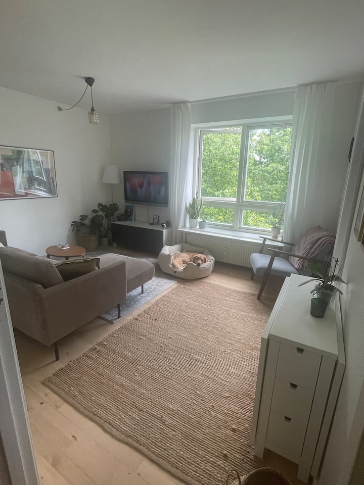 Lejlighed Nørrebro København - Copenhague