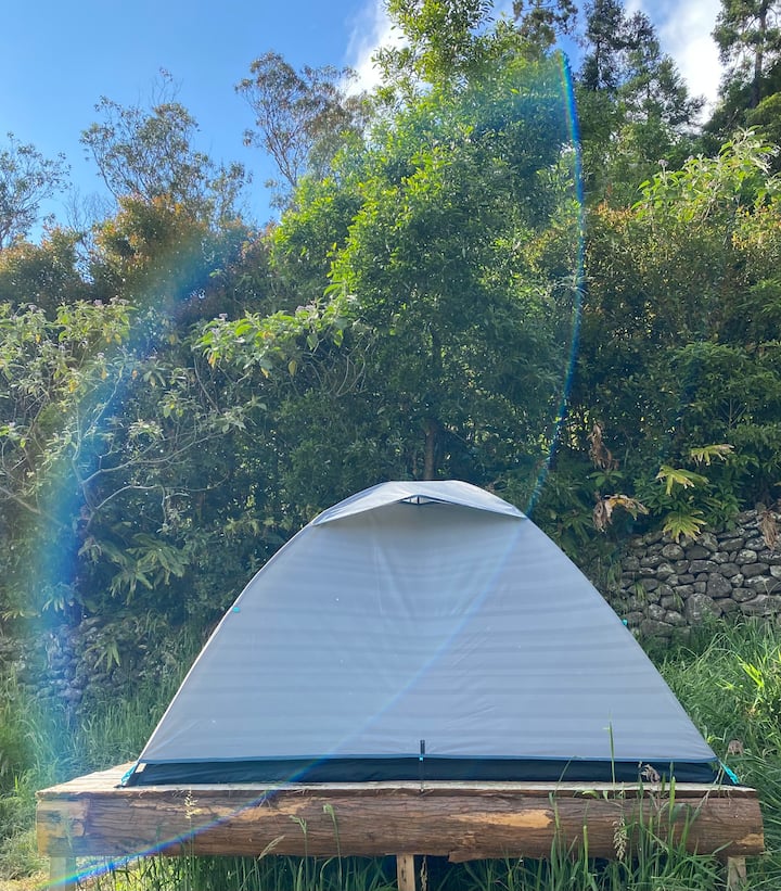 Exotic Eco Farm - Azores