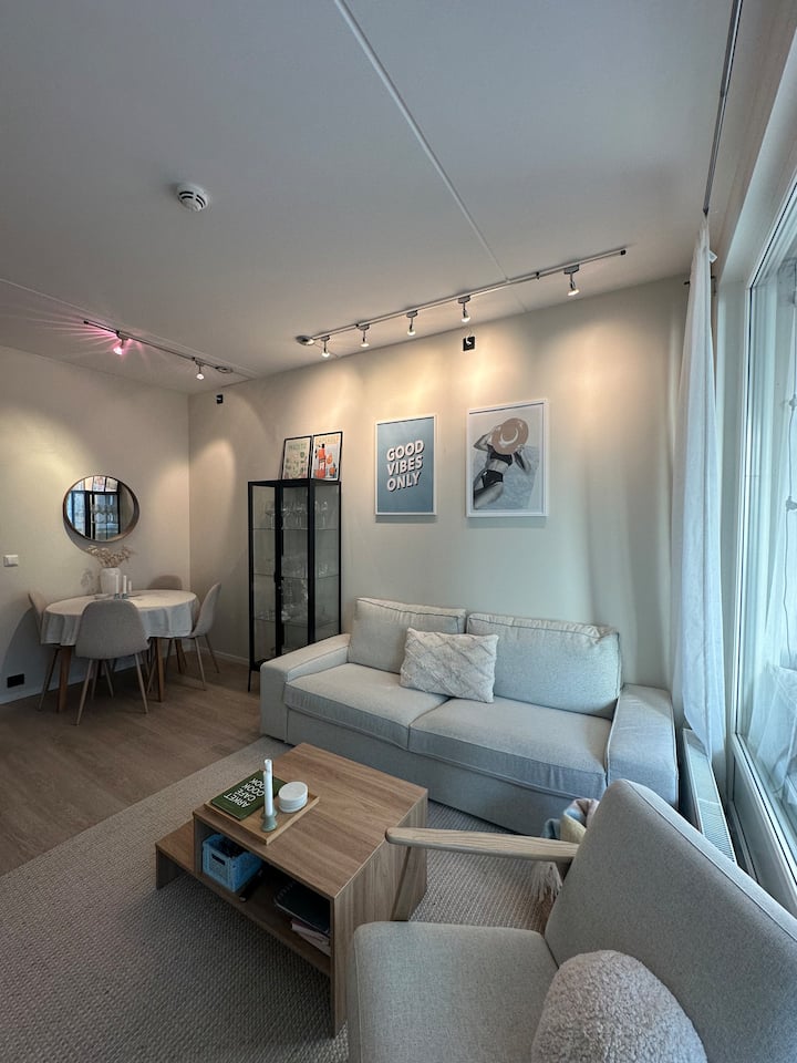 2-roms Leilighet Til Utleie. - Trondheim