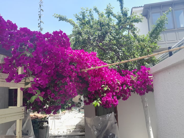 Evimiz Alaçatı Merkezindedir, - Alaçatı