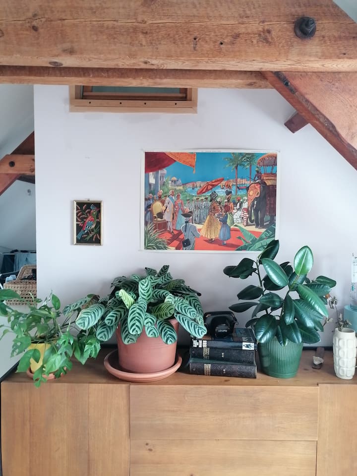 Logement De Charme Sur La Loire - Couëron